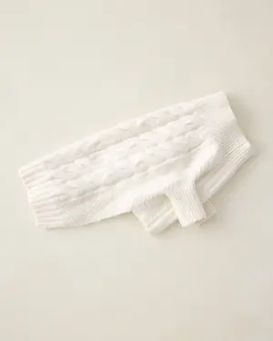 HAVEN WELL WITHIN Organic Cotton Dog Sweater