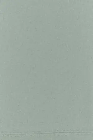 Extreme Cashmere Mint Cotton Blend N°451 Sweater