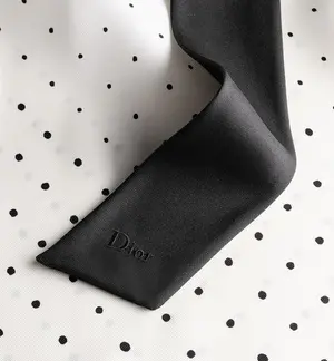Dior Short Sleeve Blouse With Rear Tie And Embroidered Ribbon Detail