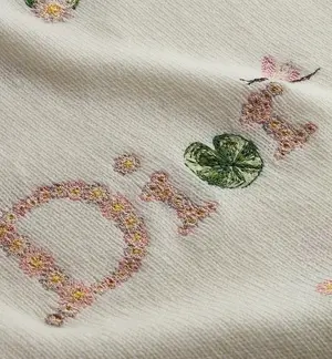 Dior Short Sleeve Embroidered Sweater - White