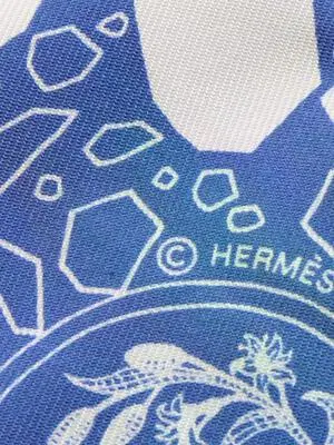 Hermès 2010s La Danse Des Amazones Scarf - Blue