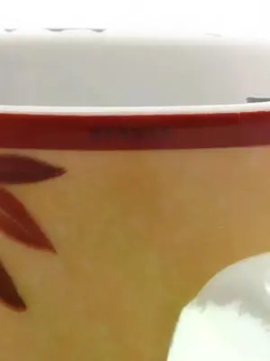 Hermès Africa Mug