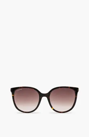 CAVALINHO Cosmopolis Sunglasses - Brown