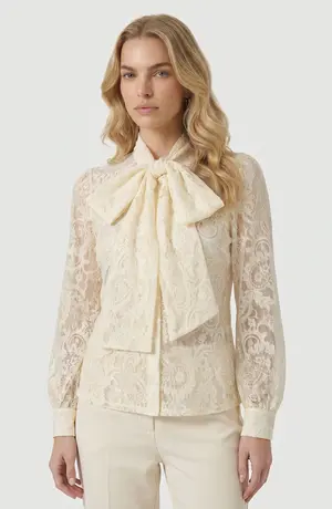 MODENAIRE Tie Neck Sheer Long Sleeve Lace Blouse - Beige