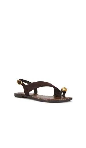 Sam Edelman Grace Sandal - Cafe Noir