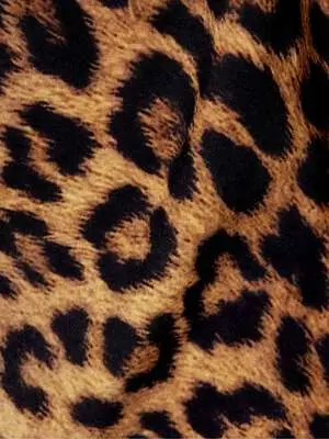 Melissa Odabash Prague Leopard-print Bikini Briefs