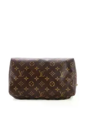 LOUIS VUITTON Speedy Handbag Monogram Canvas 25 Satchel