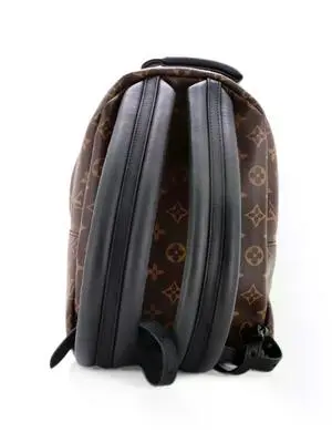 LOUIS VUITTON Palm Springs Monogram Canvas Pm Backpack - Brown