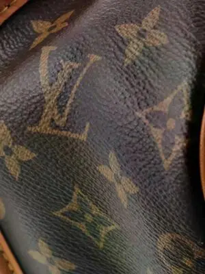 LOUIS VUITTON Diane Nm Handbag Monogram Canvas Crossbody Bag