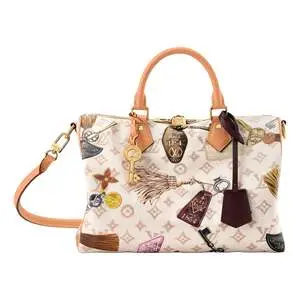 LOUIS VUITTON Speedy 30 Soft Bag - Multi-color