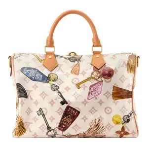 LOUIS VUITTON Speedy 30 Soft