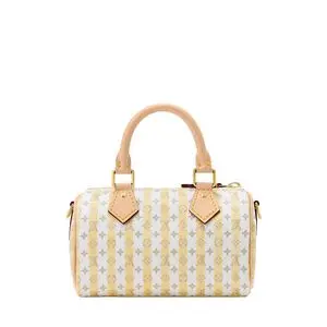 LOUIS VUITTON Nano Speedy Top Handle Bag