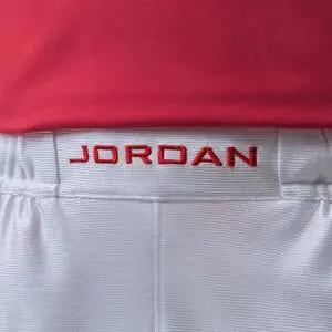 JORDAN Brooklyn Cat Scratch Shorts