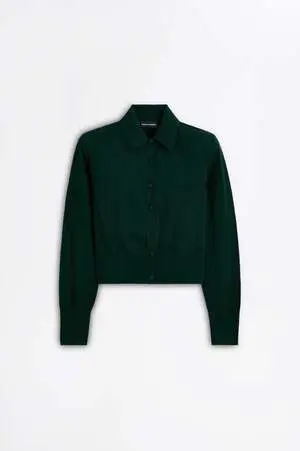Scanlan Theodore Silk Merino Knit Shirt - Pine