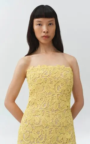 Simkhai Sera Floral Raffia Bustier Midi Dress