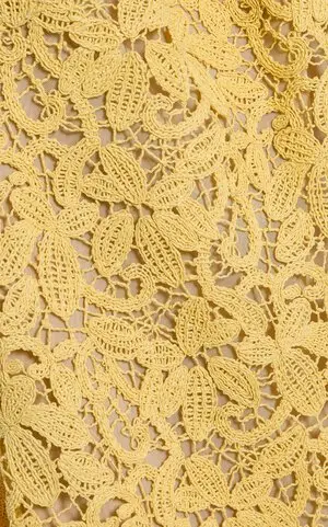 Simkhai Sera Floral Raffia Bustier Midi Dress
