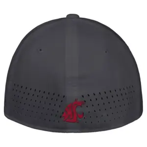 Nike Washington State Dri-fit College Hat