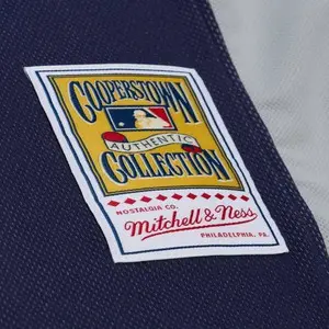 Mitchell & Ness Cc Sabathia 2009 New York Yankees Authentic Batting Practice Jersey