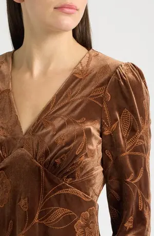 Eliza J Long Sleeve Embroidered Velvet Dress
