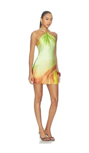 Retrofete Hilary Halterneck Mini Dress