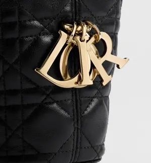 Dior Small Toujours Hobo Bag