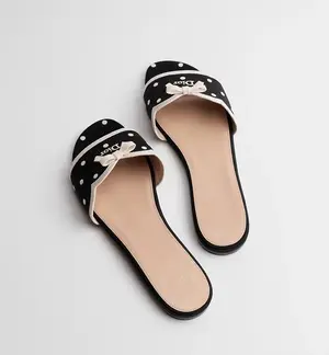 Dior Dway Slide