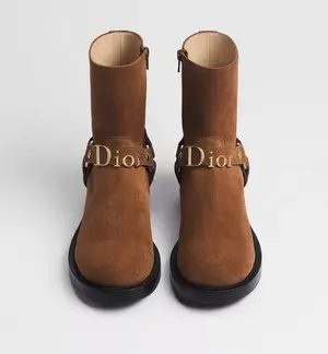 Dior Bolt Ankle Boots With Gold-finish Signature