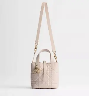 Dior Small Toujours Vertical Tote Bag