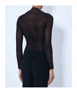 Issey Miyake Sheer Pleated Top