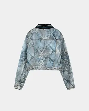 Andersson Bell Python Gradient Print Denim Jacket