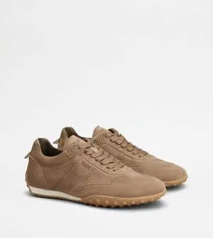 TOD'S Sneakers In Suede