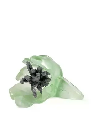 LA MANSO X Tetier Parrot Growing Ring