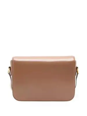Celine 2018-2026 Teen Shiny Calfskin Triomphe Crossbody Bag - Brown