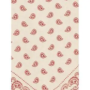 Guest In Residence Scarves