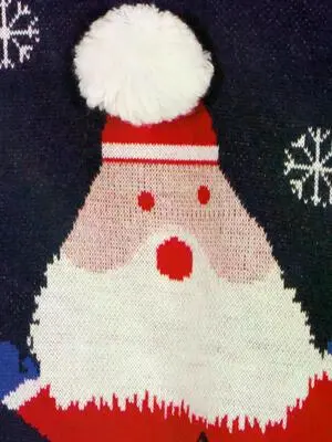 SIOLA Santa Claus Intarsia-knit Sweater