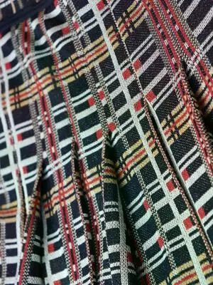 Bottega Veneta Pleated Skirt