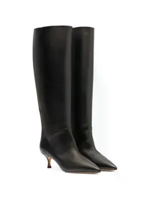Casadei Julia Plonge Pointed-toe Knee-high Boots