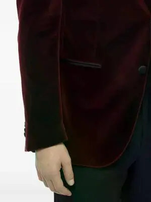 Corneliani Velour Single-breasted Blazer