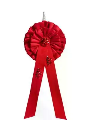Simone Rocha Embellished Rosette Coin Purse - Red