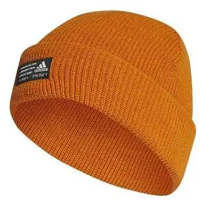 Adidas Beanie