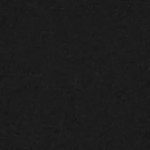 Loewe Ruche-detail High-neck Top