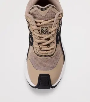 Loewe Leather Pogo Sneakers
