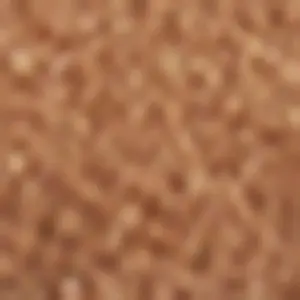 Falke Shelina 12 Anklet Socks