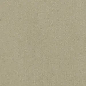 Loewe Cotton Anagram Shirt