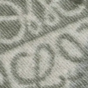 Loewe Wool-cashmere Anagram Scarf