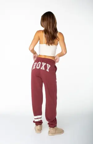 Roxy Sunset Stripe Sweatpants - Port