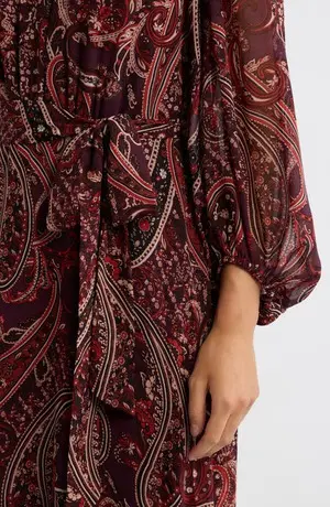 Eliza J Long Sleeve Paisley Print Maxi Dress
