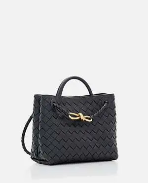 Bottega Veneta Andiamo Small Bag