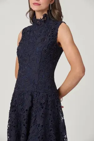 Shoshanna Empire Lace Tory Dress