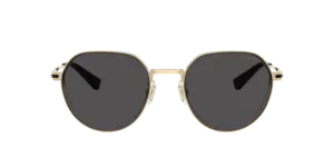 COACH Sunglass Cae81